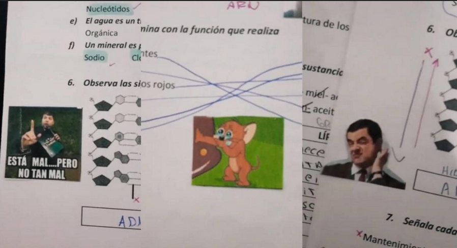 Profesora 2.0: Educadora decidió calificar pruebas de sus alumnos ...