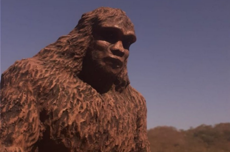 Testigos aseguran haber visto al mítico Ukumar Zupai en Salta: Así se ...