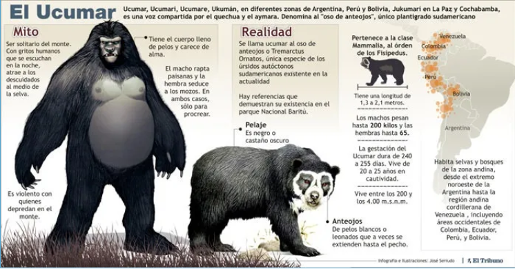 Testigos aseguran haber visto al mítico Ukumar Zupai en Salta: Así se ...