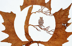 Lorenzo Duran, el artista que utiliza las hojas como lienzos | Arte y ...