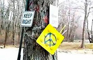 El árbol de la bruja: El viejo y fantasmagórico ícono que causó cientos ...