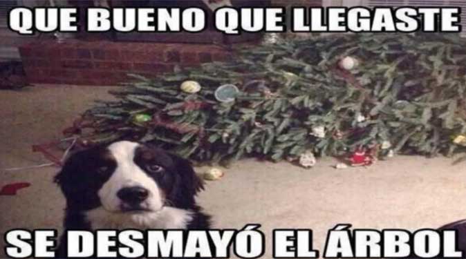 Navidad: Los mejores memes que se han viralizado en las redes | Fotografía