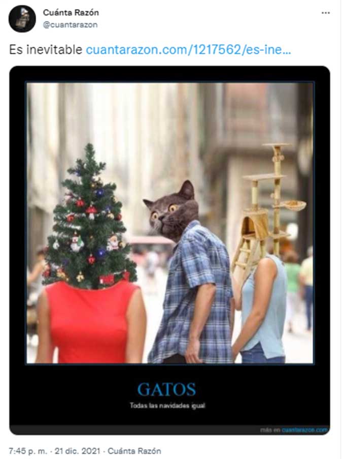 Navidad: Los mejores memes que se han viralizado en las redes | Fotografía