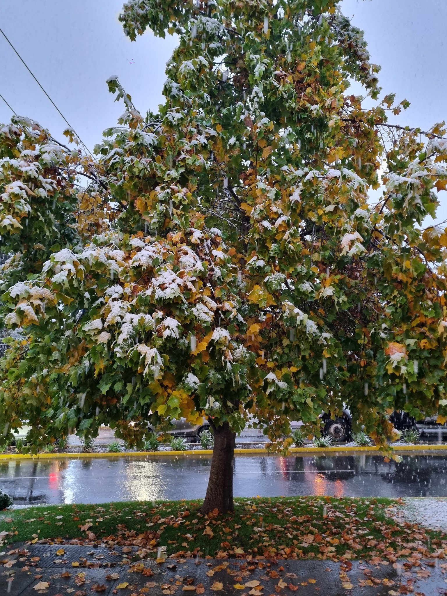 Nieve en Santiago: Las fotos que dejó el inusual fenómeno climático en ...