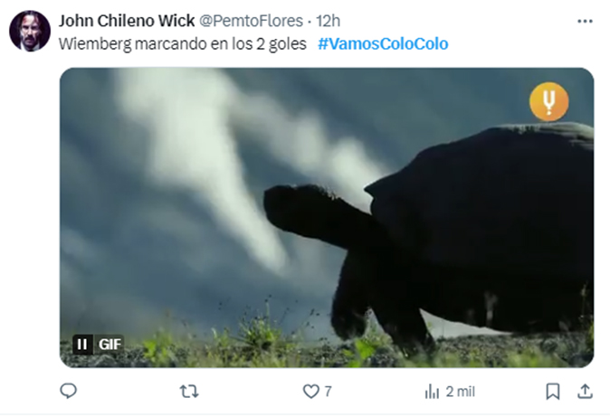 Los memes de la amarga caída de Colo Colo en Brasil: Hinchas se ...