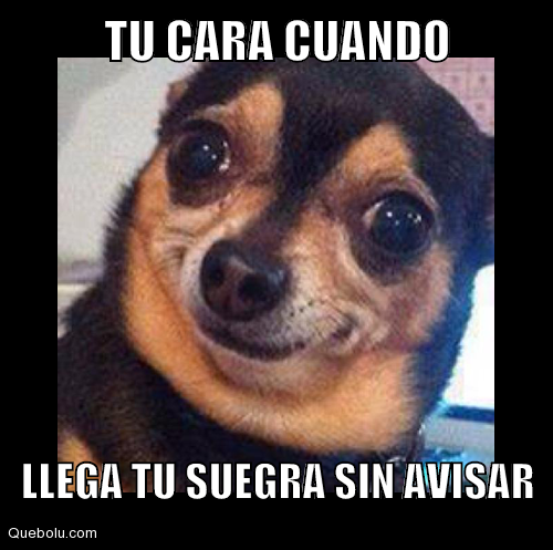 Los 20 mejores memes de "tu cara cuando...": Esto te va a causar mucha ...