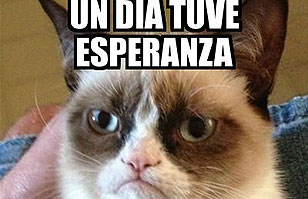 Humor felino: si eres un amante de los gatos disfrutarás estos ...