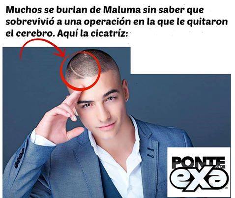 Maluma Con Memes