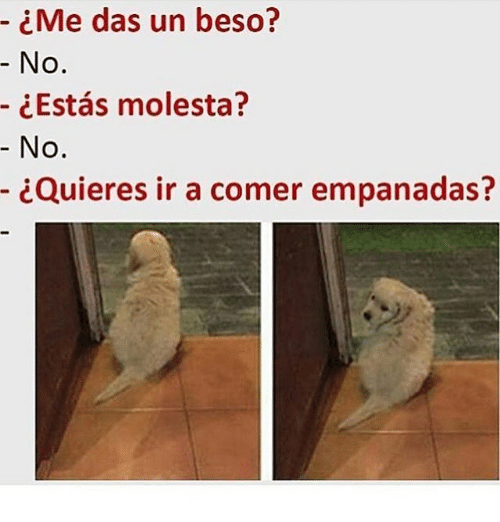 Se vienen las empanadas y los memes lo saben: Los más divertidos sobre ...