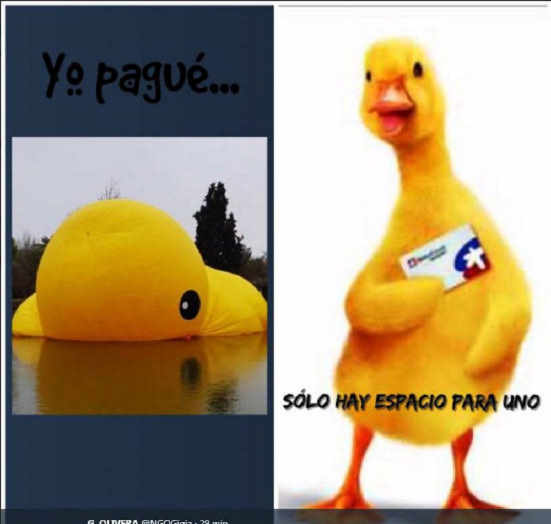 Memes Del Pato Pato GIFs | Tenor
