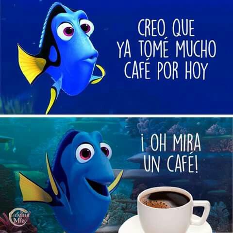 Un golpe de cafeína: 10 situaciones que sólo los amantes del café ...