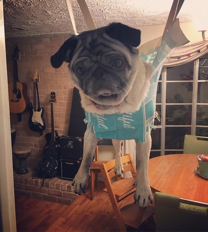 Fotos: Estas personas son tan ingeniosas que te vas a sentir al debe en ...