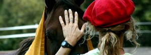Caroline Wolfer: La necesaria mirada femenina sobre los caballos ...