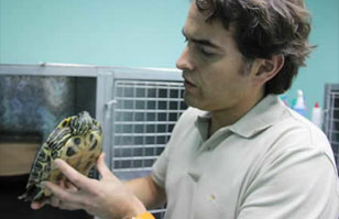 Doctor Vet en Nat Geo: Insólitos casos de rescate animal | Series de TV