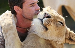 Video: Increíble cercanía y amistad entre un hombre y leones en África ...